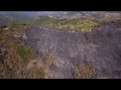 Ateşin Düştüğü Yer