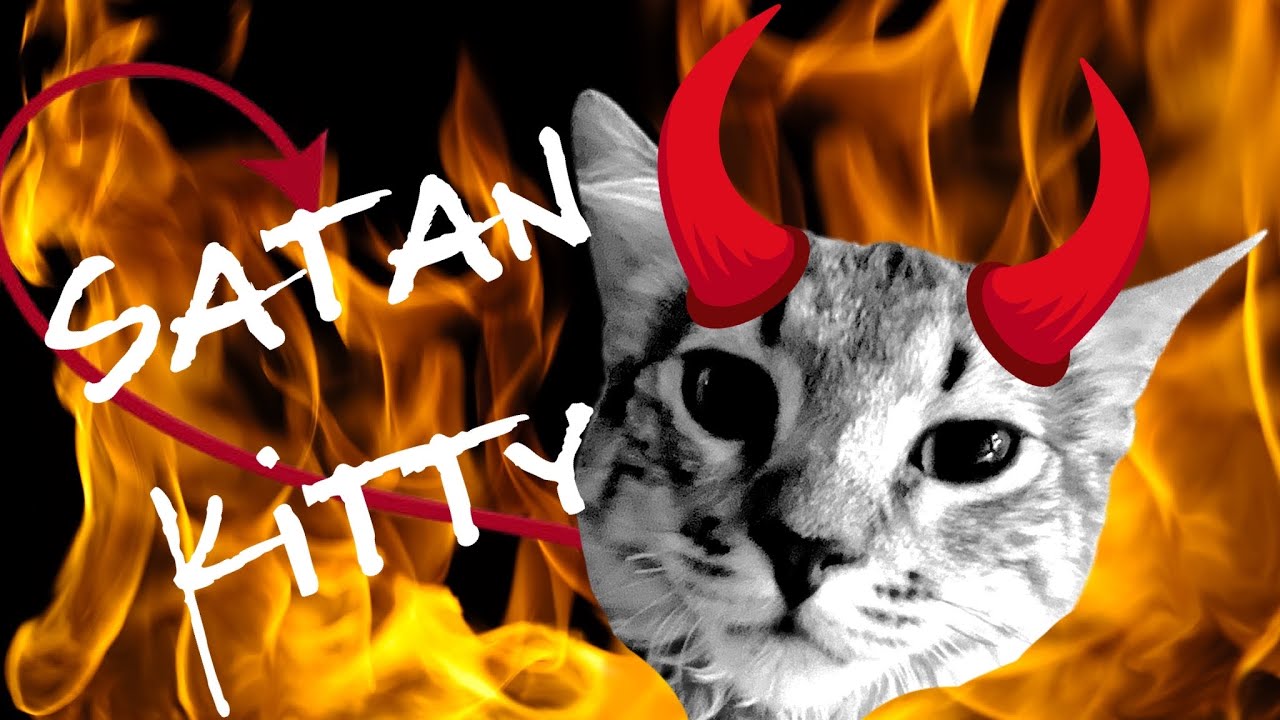 Satan Kitty - YouTube