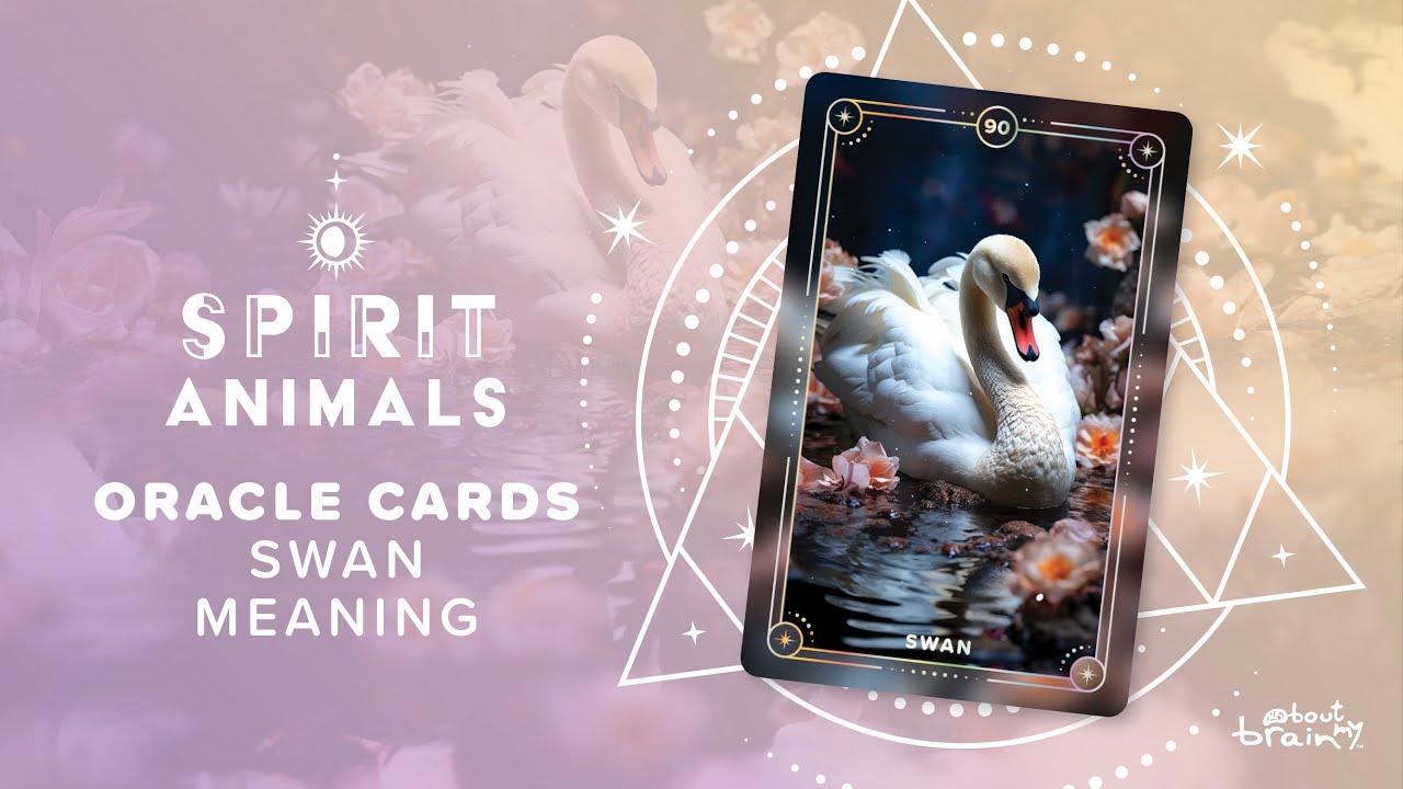 Swan Spirit Animal | Symbolism & Meaning Explained - YouTube