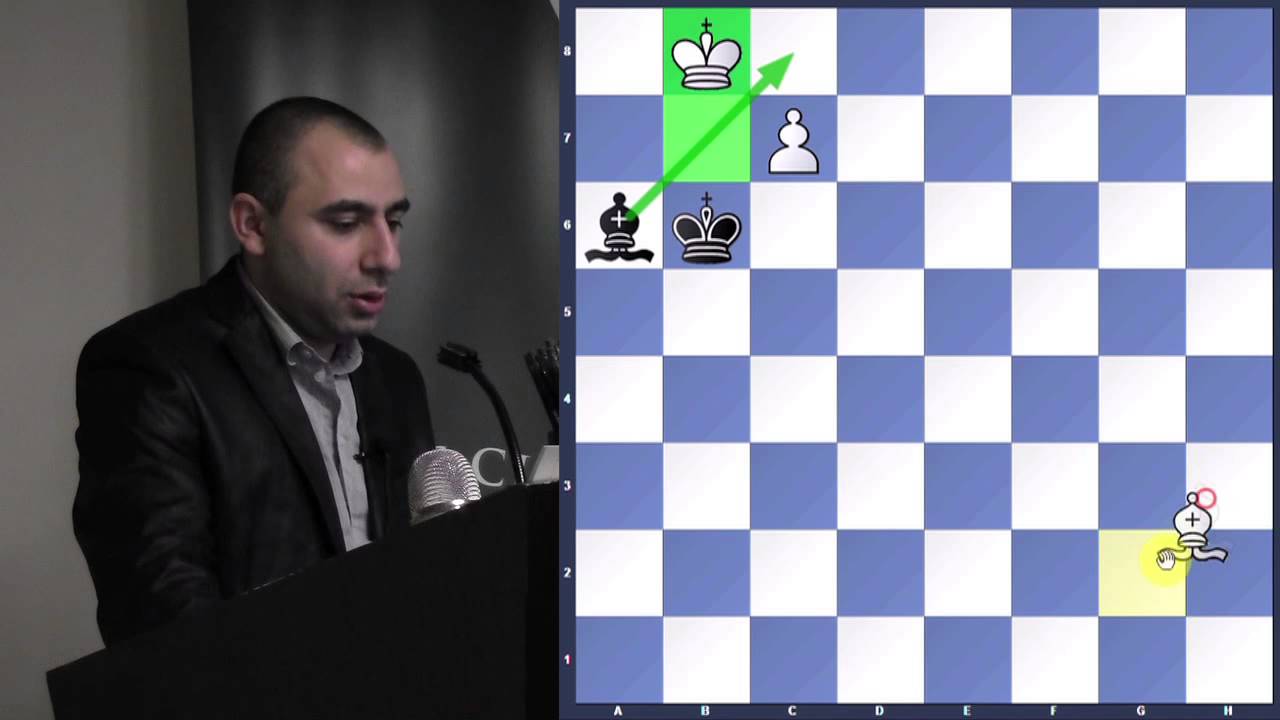 Lecture with GM Varuzhan Akobian (Endgame Studies) - 2013.04.03 - YouTube