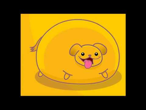 fat labrador slam - YouTube