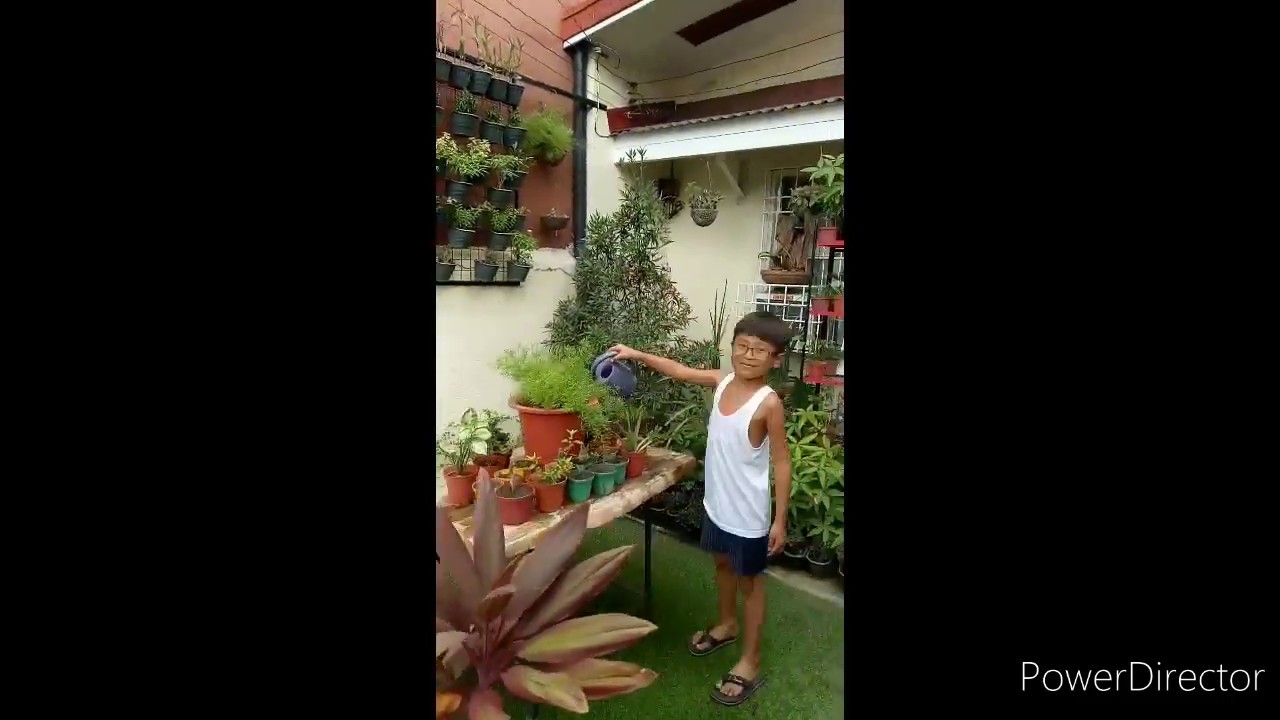 Paano magtanim - Ang Batang Hardinero Vlog 002 -kangkong/water spinach ...