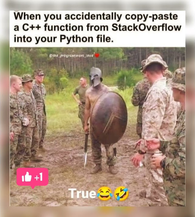 C++ vs python programming funny 🤣 memes #python#c++#programming memes ...
