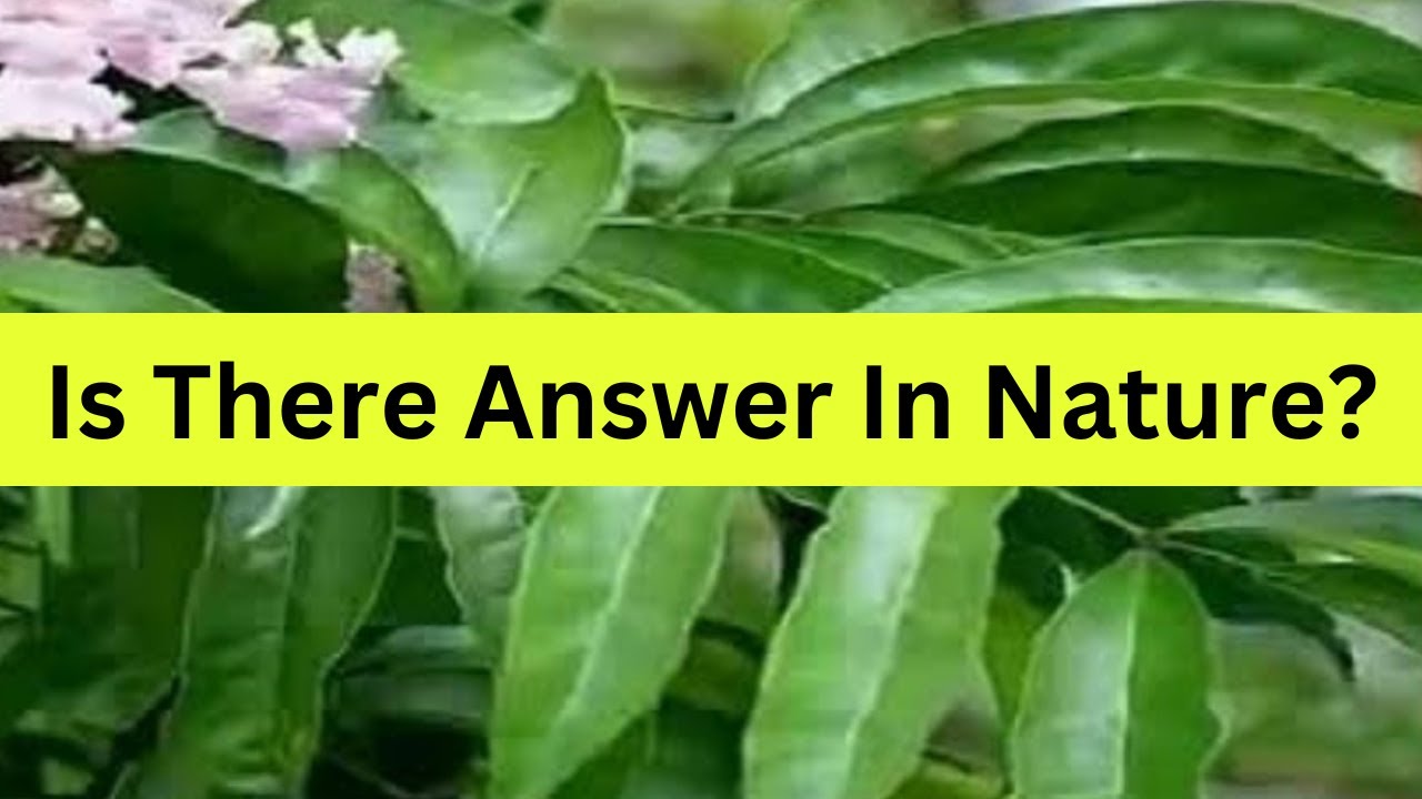 Is There Answer In Nature? - YouTube