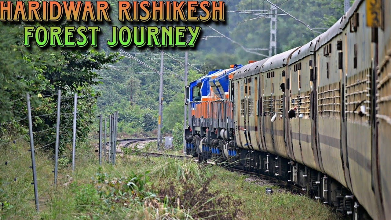 BEAUTIFUL TRAIN JOURNEY | HARIDWAR RISHIKESH FOREST |SHIVALLIKS - WDG4 ...