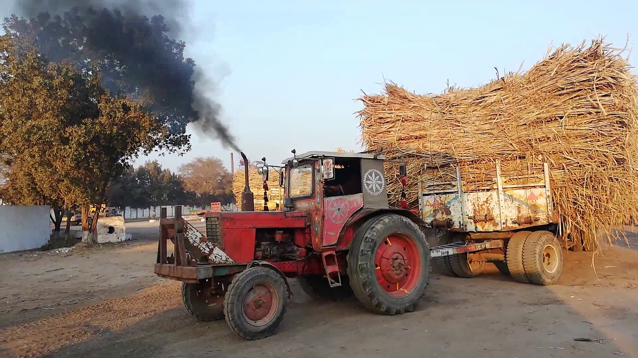 Power of Belarus 510 Tractor, Powerful Belarus 510 Pulling Sugarcane ...
