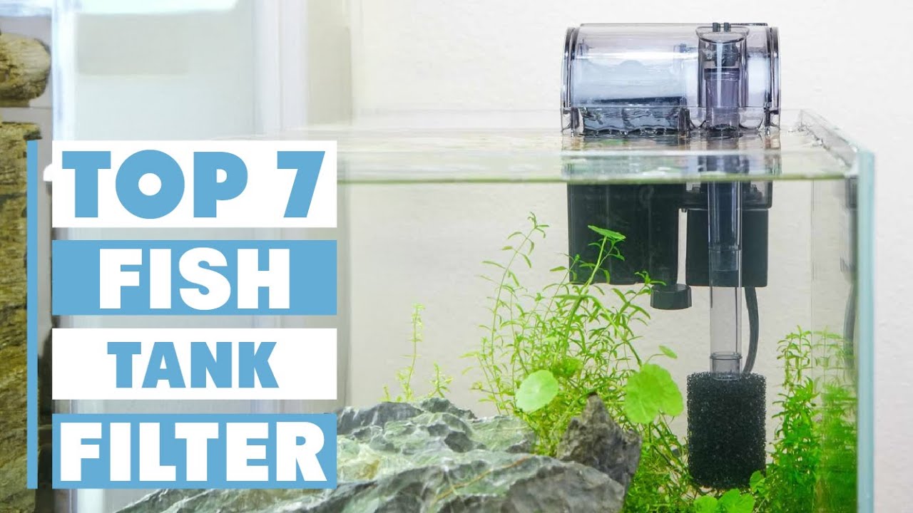 Top 7 Best Fish Tank Filters for Aquariums - YouTube