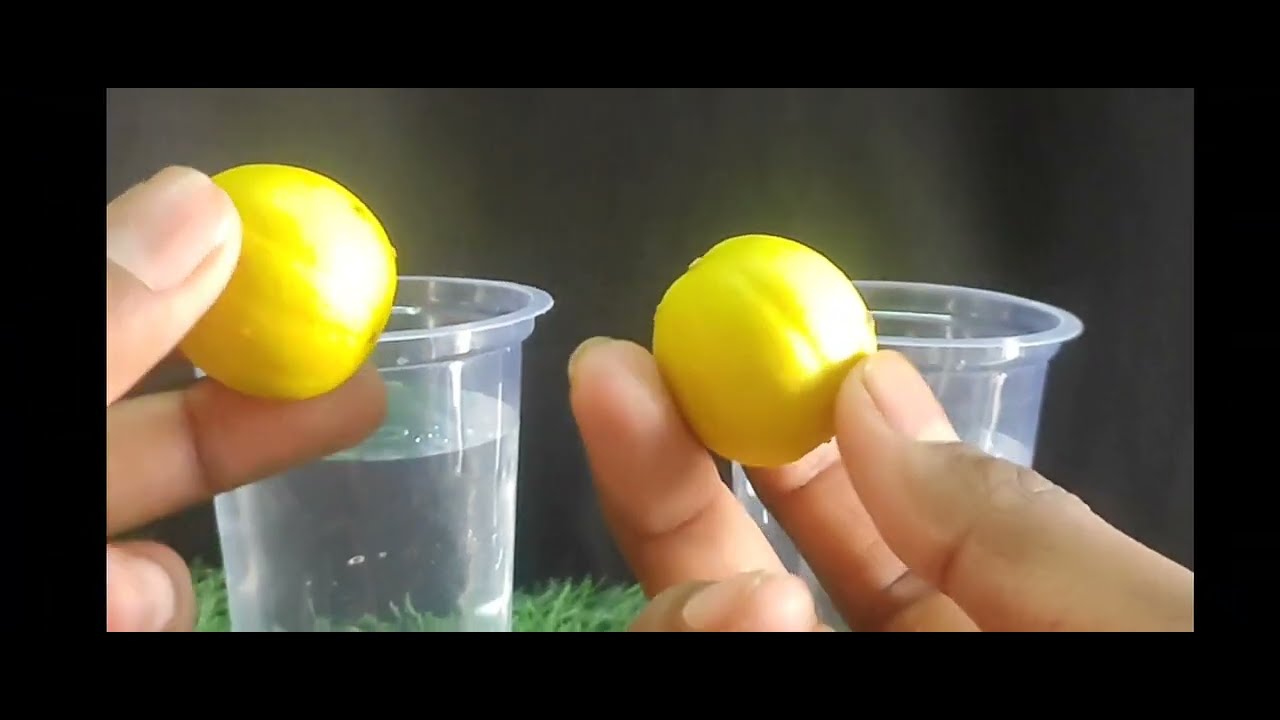 Top 3 Science Experiment ll #experiment #science - YouTube