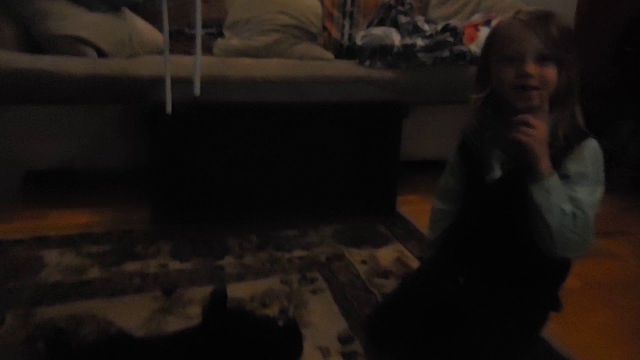 WOW! Bunny hypnotized !!!! - YouTube