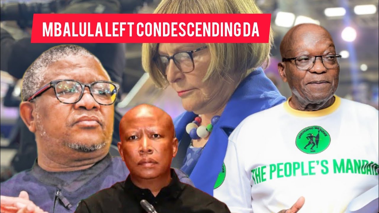 Zille calls the EFF & MK dogs after failing to negotiate with Panyaza ...