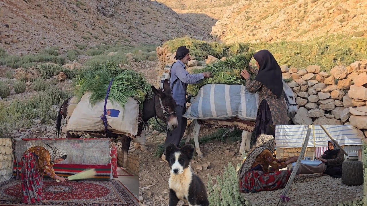 Nomadic Life: How Nomads Live and the Harsh Daily Life of Nomads - YouTube