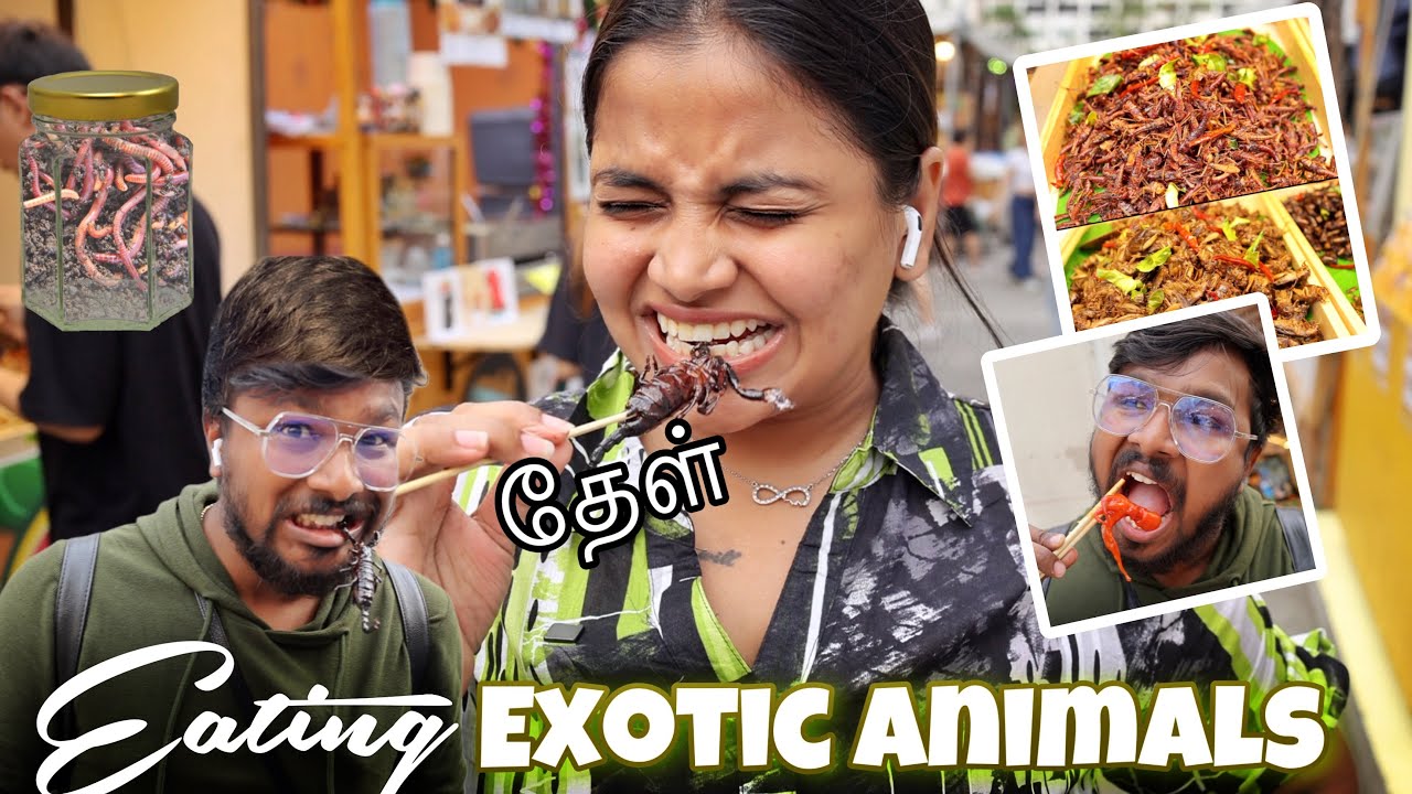 Tasting the World's Most *UNBELIEVABLE* Street Food! 😋 Unbelievable ...
