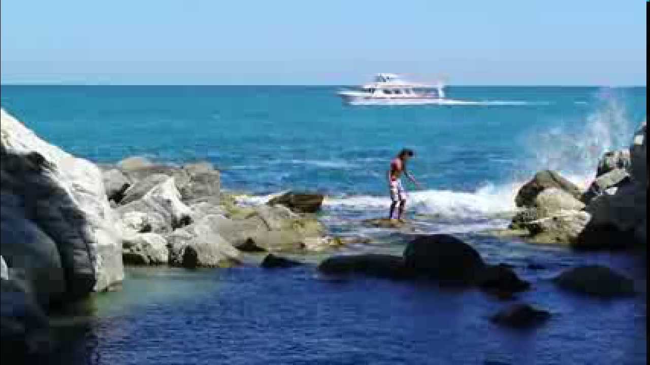 The Beach Boys - Trombone Dixie - YouTube