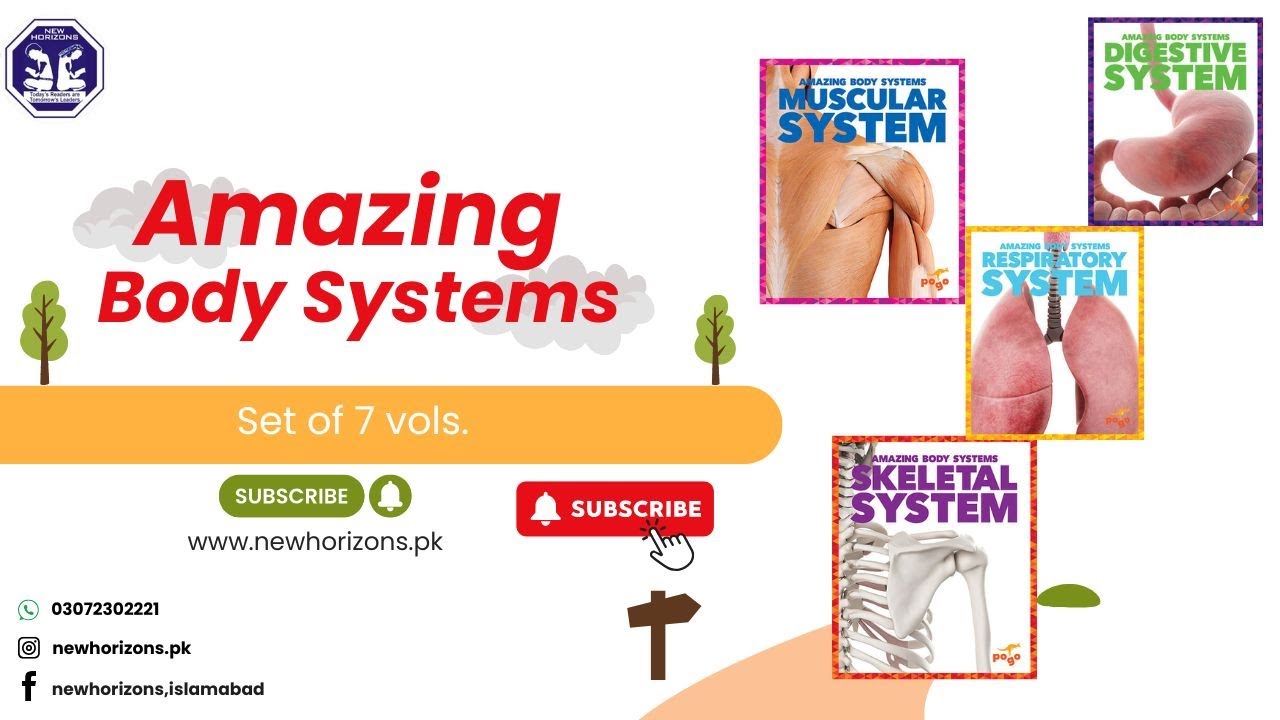 How Human Body Works ? Part 2 - YouTube