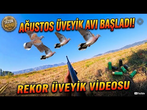 1 GÜNDE LİMİTLERİ DOLDURDUK! | Efsane Üveyik Avı