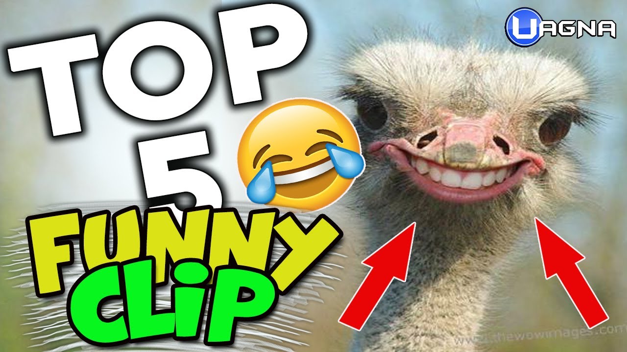 SPECIALE TOP 5 FUNNY CLIP - le vostre CLIP! - YouTube