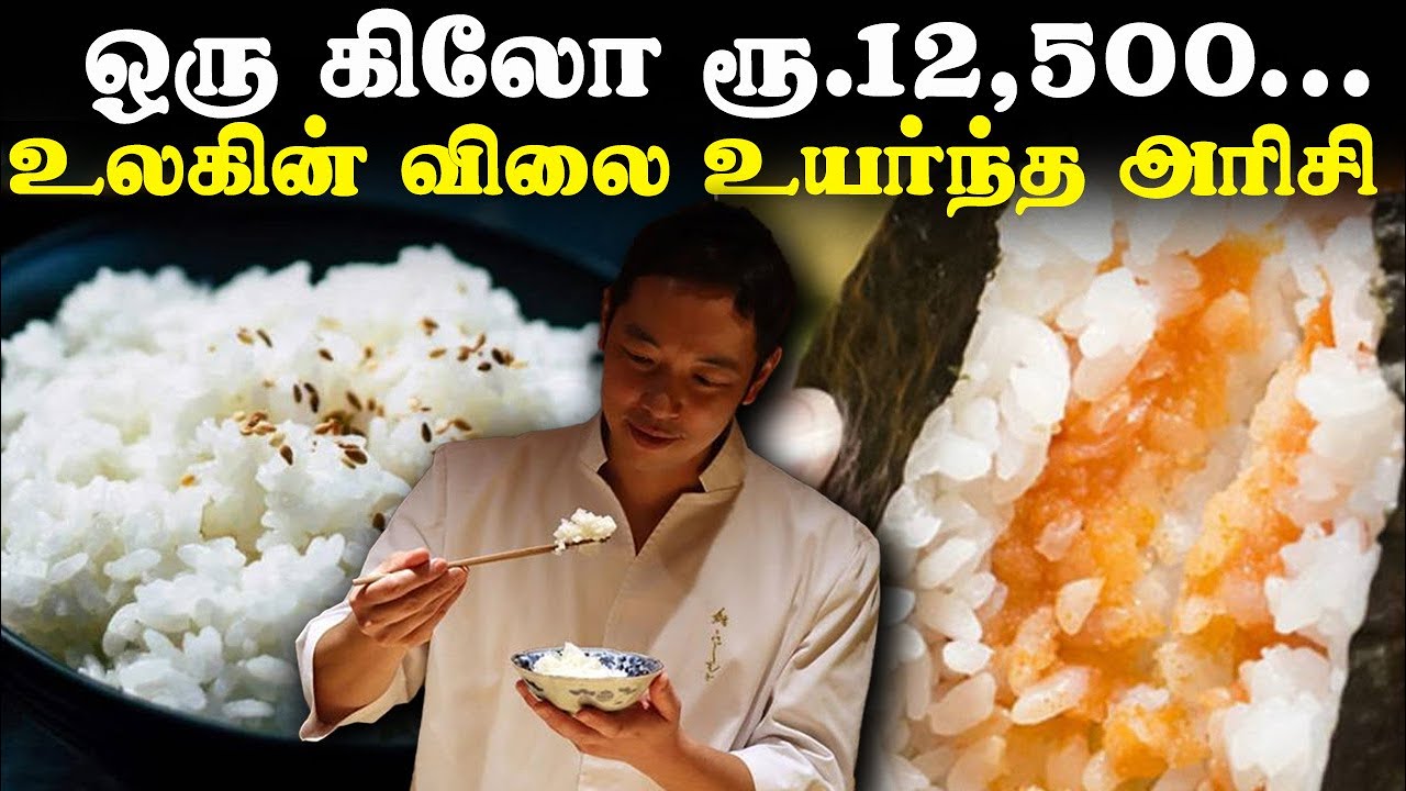 ஒரு கிலோ ரூ.12,500... உலகின் விலை உயர்ந்த அரிசி | The World's Most ...