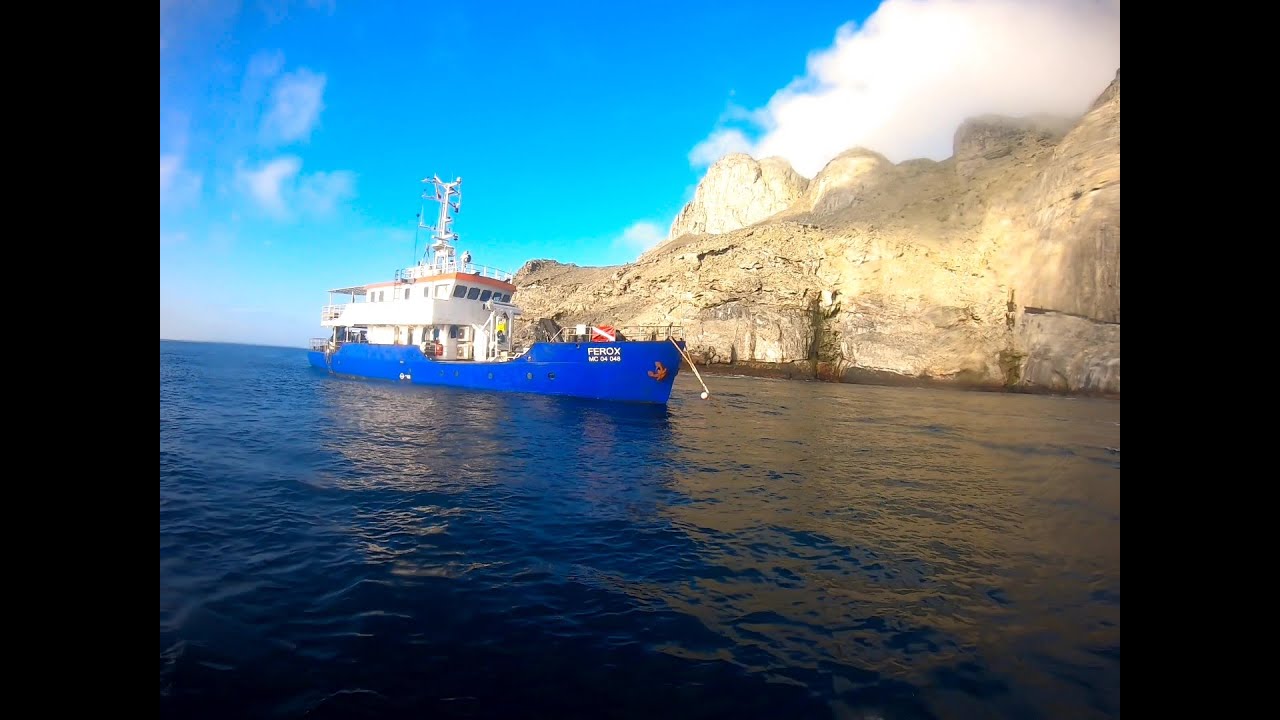 Malpelo Compilation March 2021 - YouTube