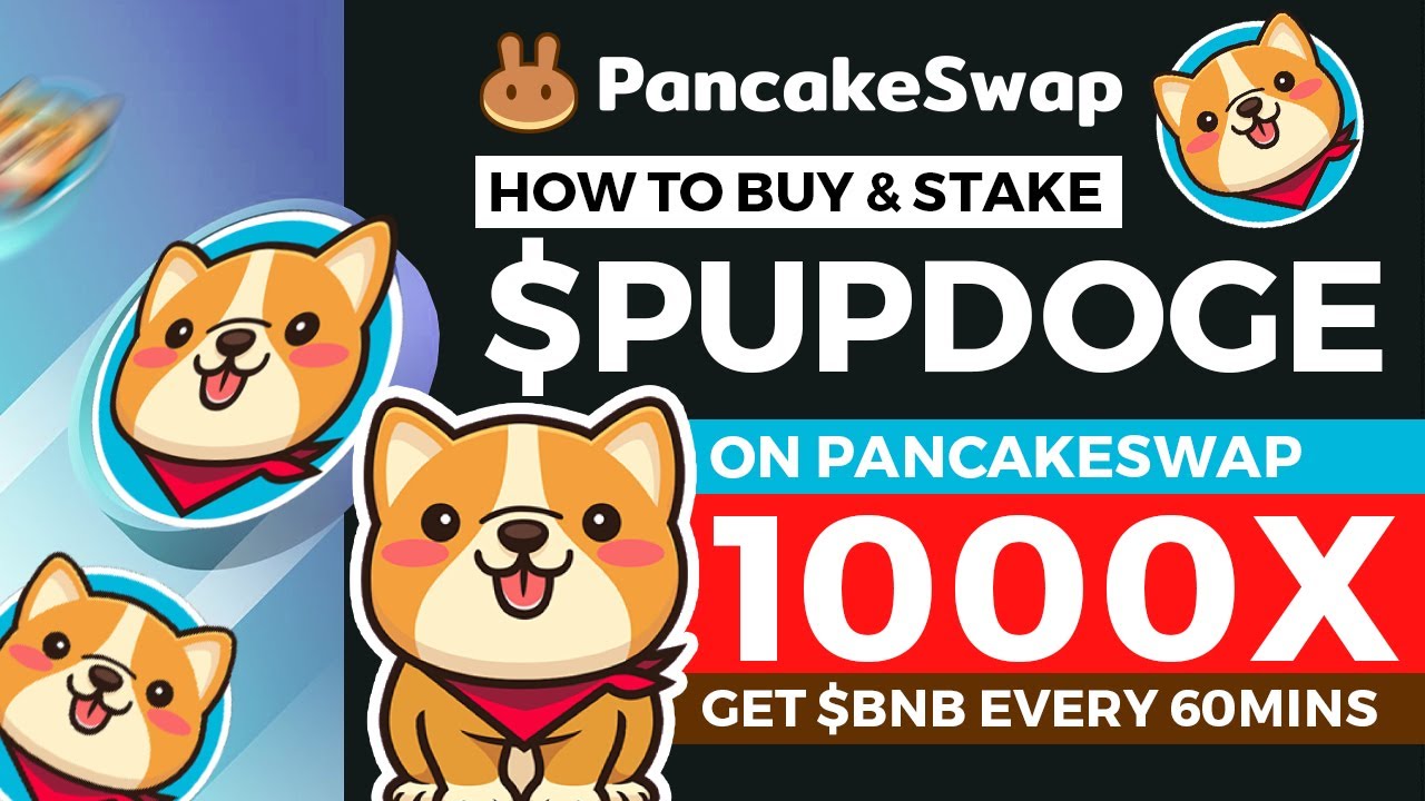 How to buy Pupdoge token at Pancake Swap & stake Pupdoge coin to earn ...