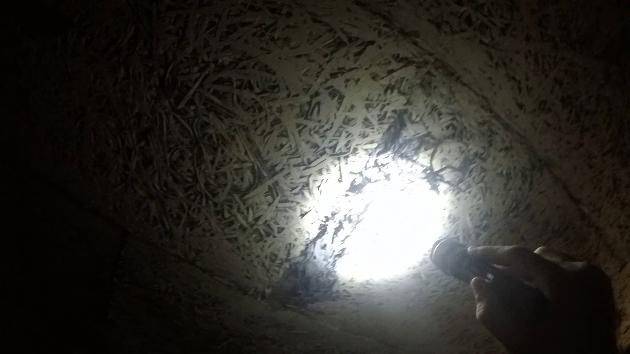 Exploring an old ww2 bunker in Pensacola florida. Fort McRae! 1080p ...