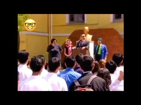 mini mini birler, çalışkan ikiler