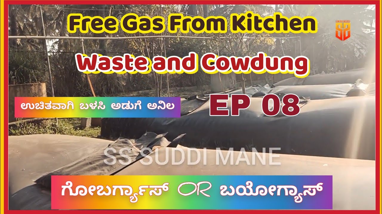 How to make free Biogas or Gobar Gas from Cow Dung and Kitchen Waste ...