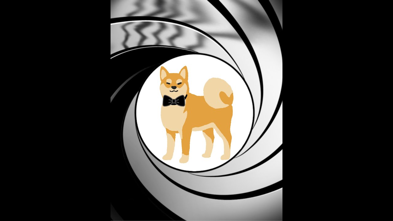 Secret Agent Doge - YouTube