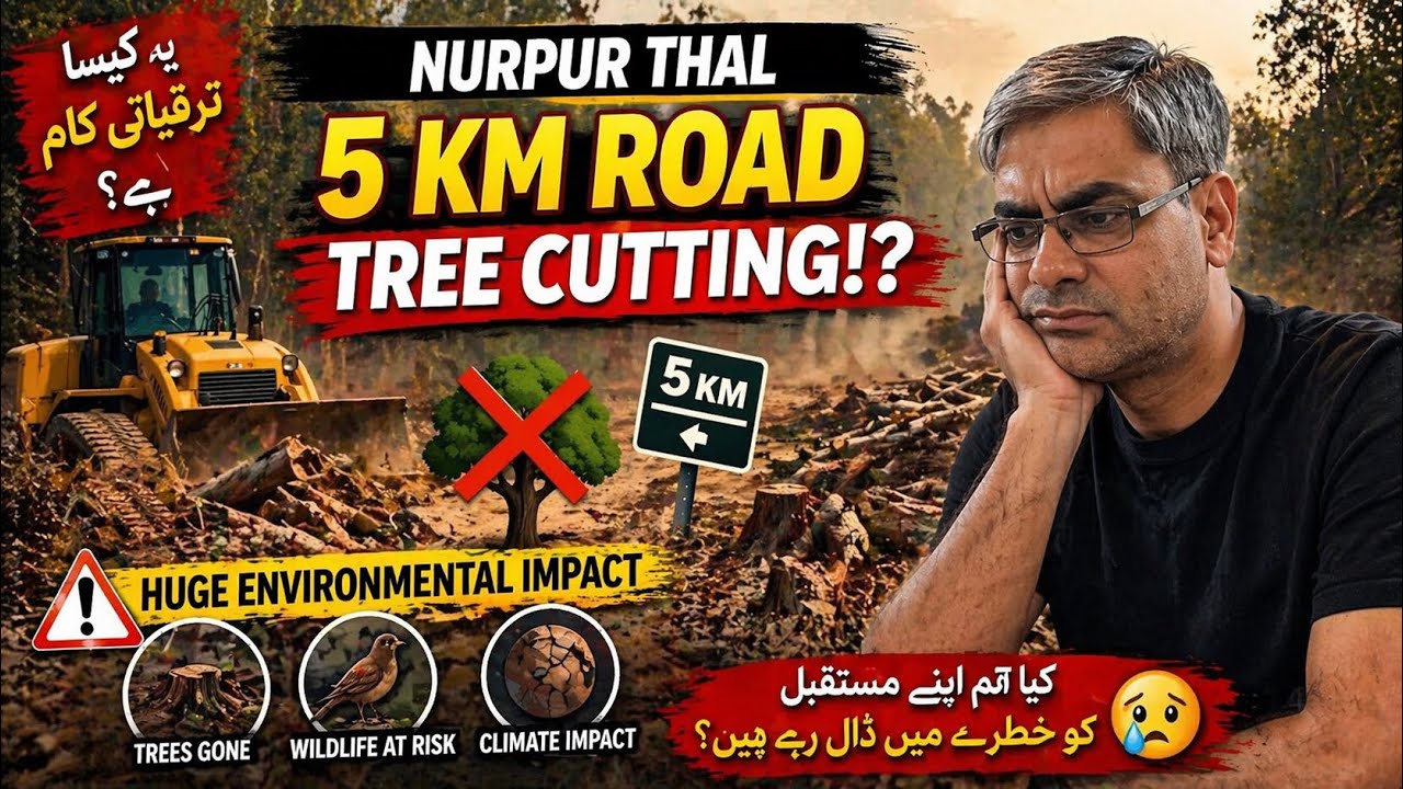 Pakistan’s Most Beautiful Road in Danger? Save Nurpur Thal Trees Before ...