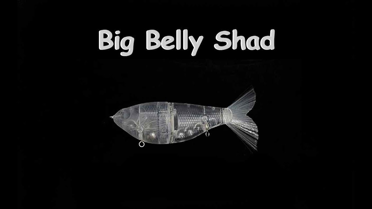 Big Belly Shad - YouTube