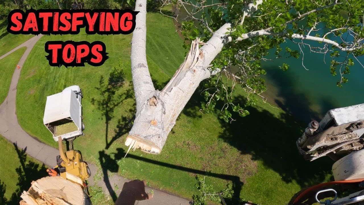 The Art Of Full Send (Square Grind) - YouTube