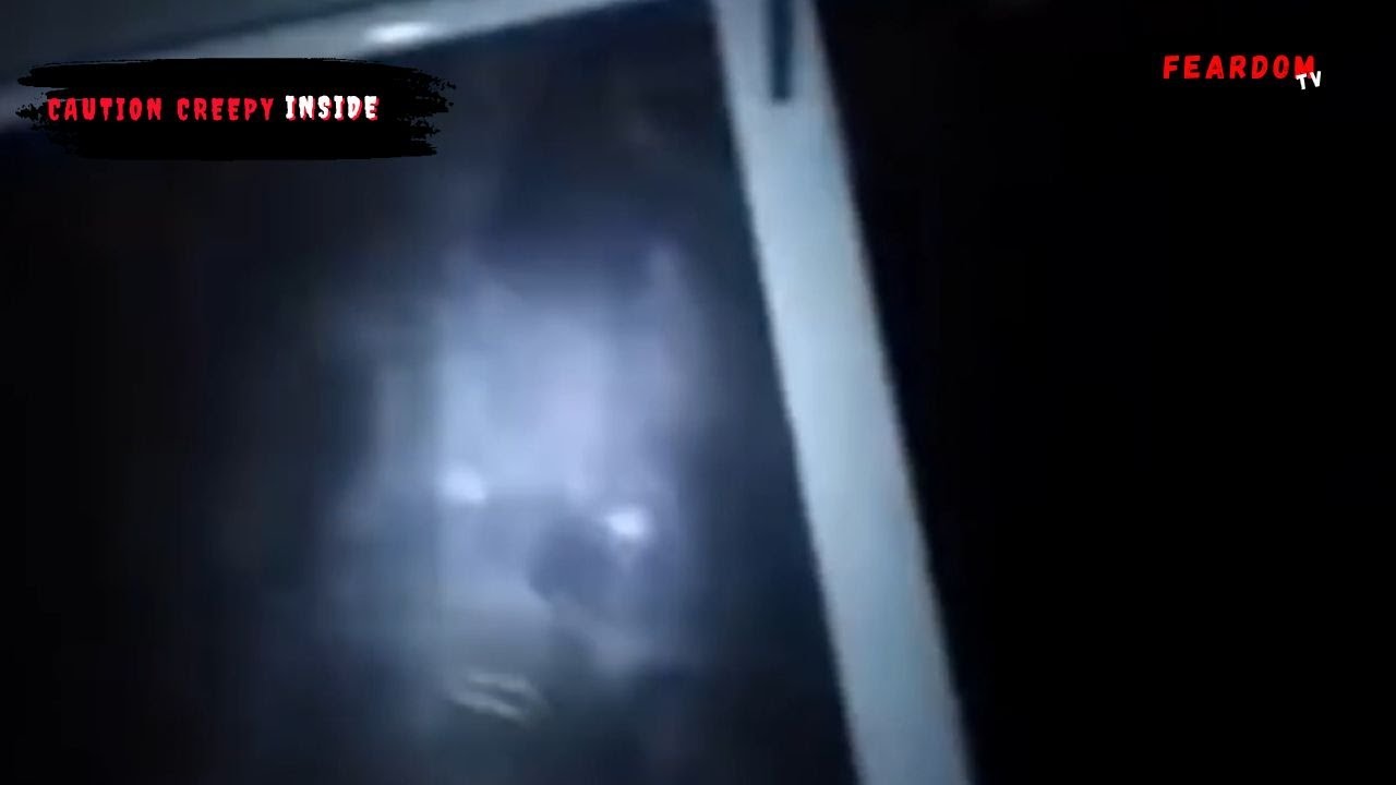 The Bizarre Paranormal and Creepy Horror Mix 95 - YouTube