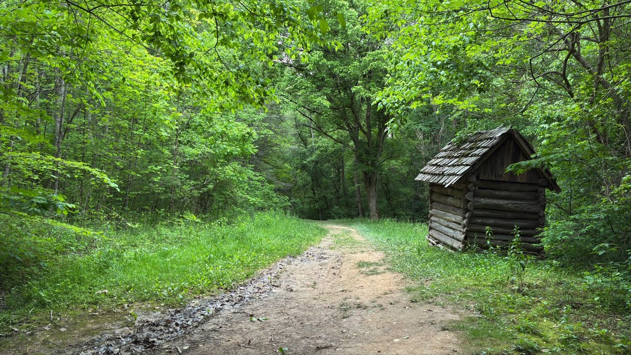 4K Laurel Run Park: Photography and Waterfall video clips - YouTube