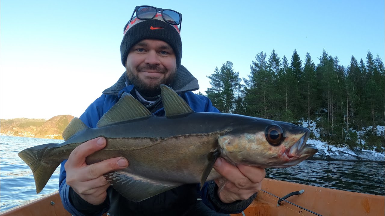 Fjordafiske: Episode 13 - «Dorging og lyrafest» - YouTube