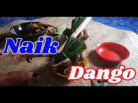 Kalimantan , Peraga Adat Suku Dayak || Naik Dango - YouTube