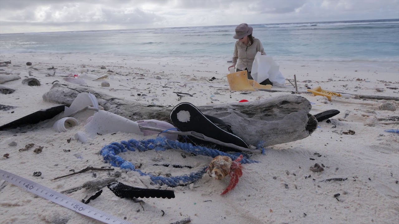 Australian islands home to 414 million pieces of plastic pollution ...