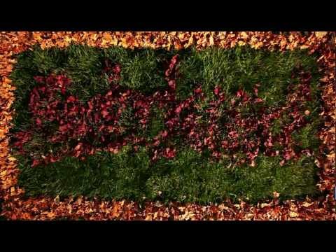 Subdued Fall 2011 - spot 30''