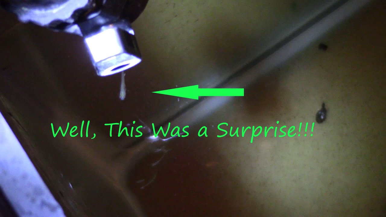 The Fish Always Find a Way. - YouTube