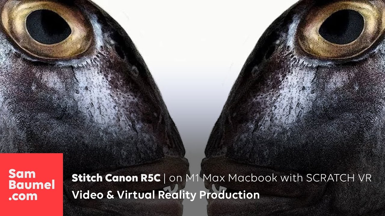 Stitch Canon R5C VR180 Video with M1 Max Macbook using SCRATCH VR - YouTube