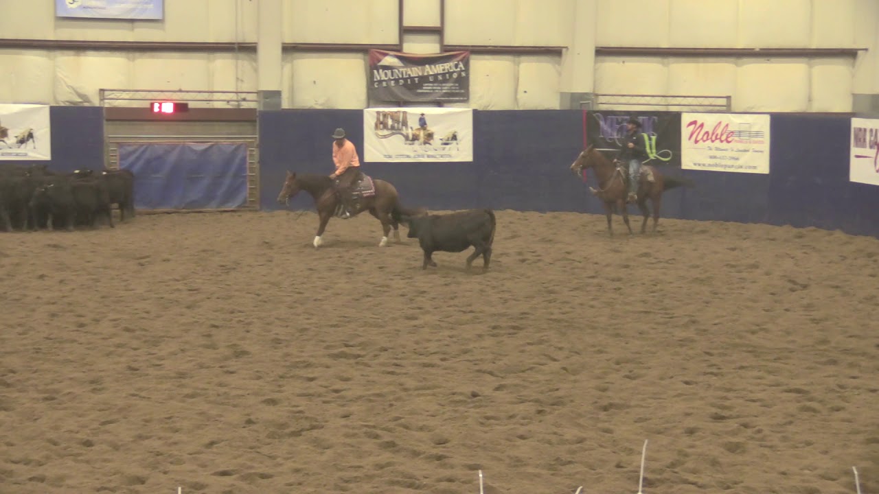 Bewitched Boon, Ravi Tumber $15,000 Amateur - Friday - YouTube