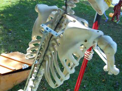 DaveIntheGrave's Grave Digging Skeleton - YouTube