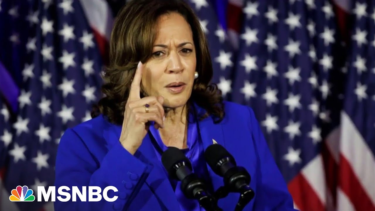 VP Harris' Role in 2024 campaign - YouTube