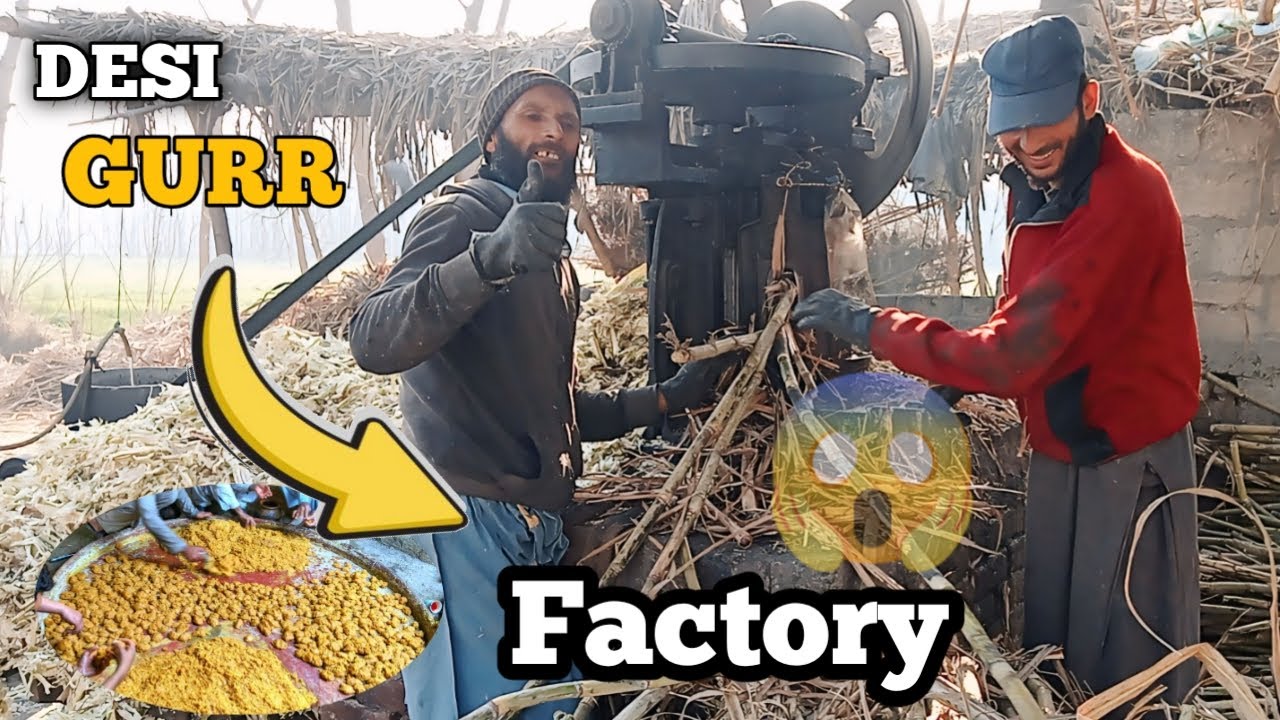 I Visited the Factory that Makes Gurr - YouTube