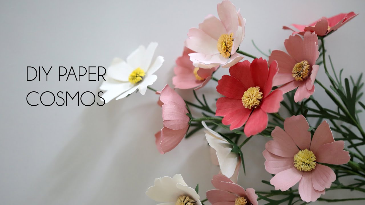DIY How to make Paper Cosmos (Paper Flowers, crafts) - YouTube