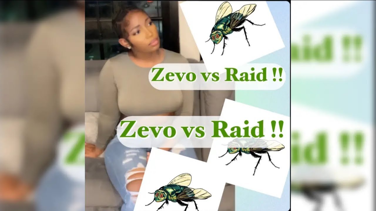 Zevo vs Raid Flying Insect Light Trap Review - YouTube