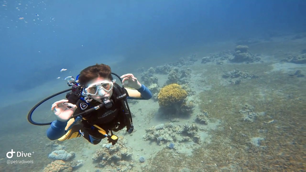 10 years old kid 🧒 - Discovery Scuba Diving 🐠 - YouTube