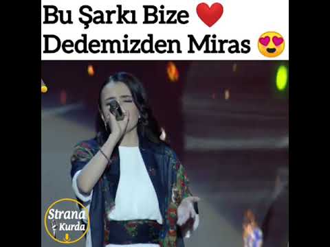diyarbakırlı kızın muhteşem sesi