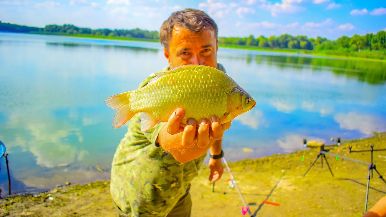 Pescuit pe lacul Sarulesti - La salcii. Caras, babusca si ciortan ...