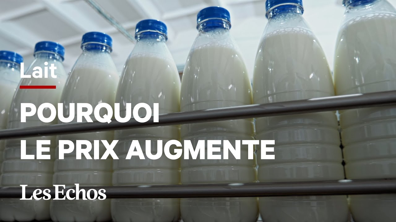 Pourquoi le prix du lait s'envole - YouTube