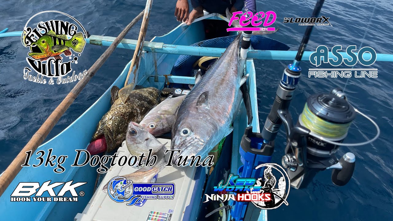 DOGTOOTH TUNA 13kg | 3.5kg Amber jack, 3kg Grouper & Pearl Perch | Oct ...