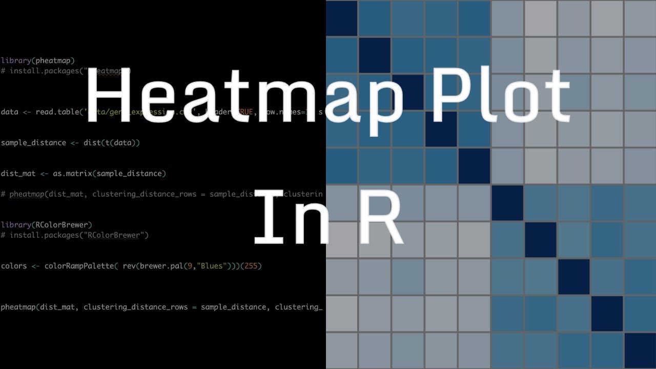 Sample Distance Heatmap in R (Gene Expression Example) - YouTube